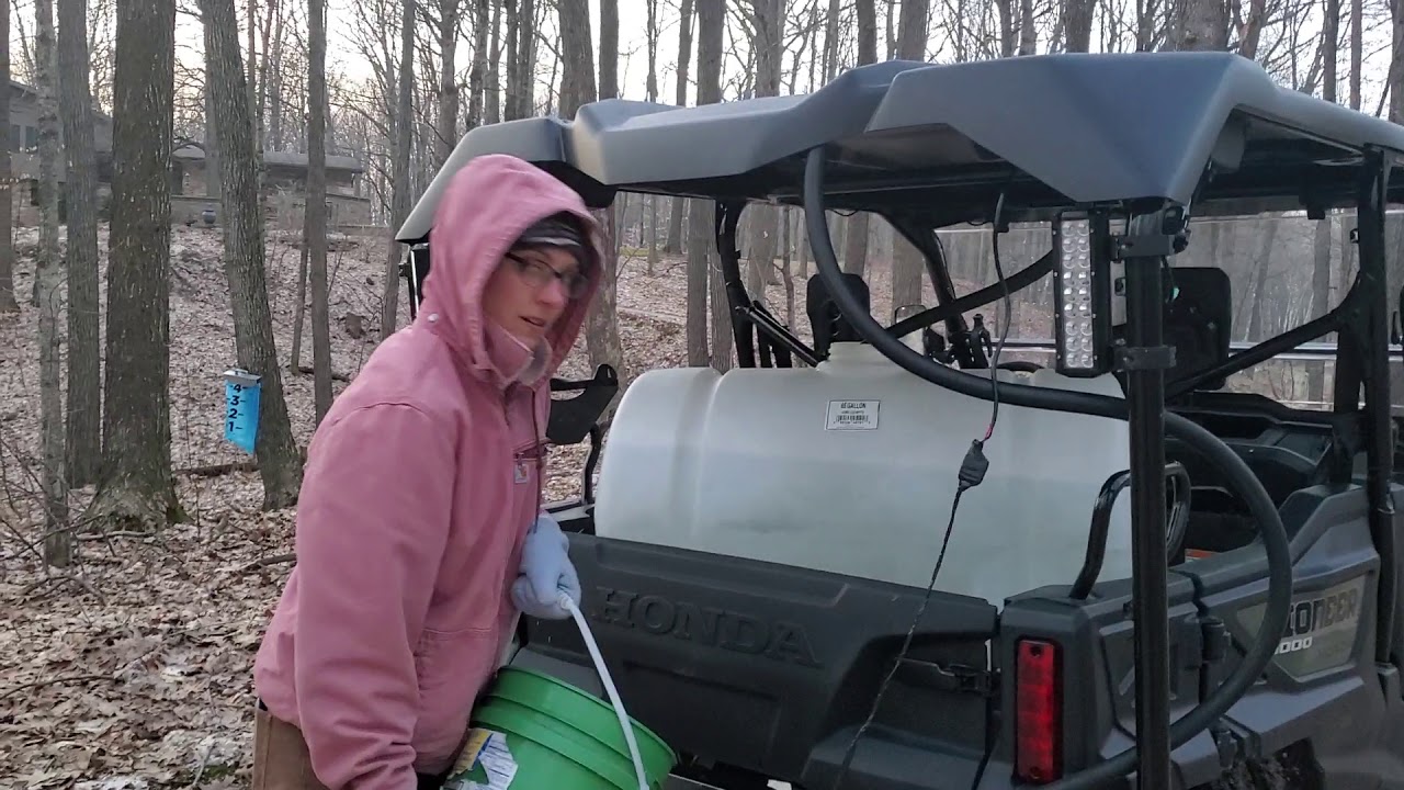 Collecting sap with Angela and Jim, tips on using bags and tips on ...