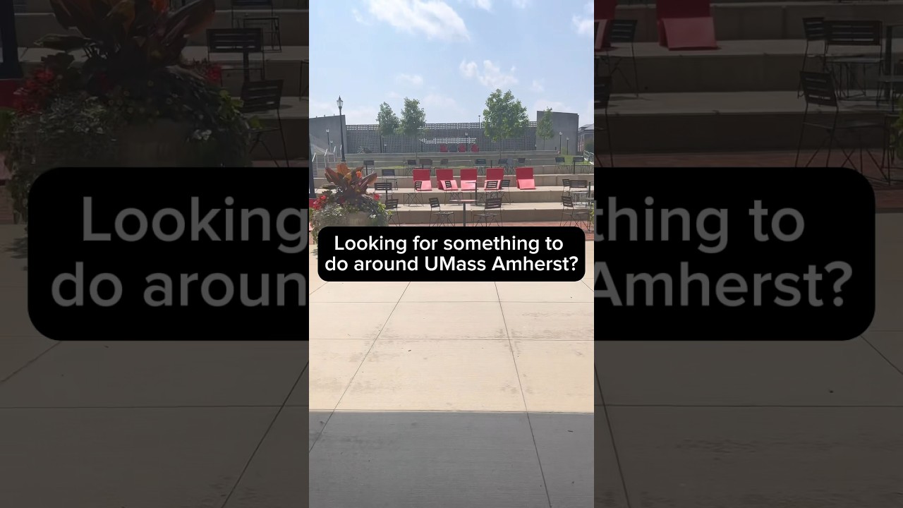 Umass Amherst Memes Frameworks For Understanding Social Media