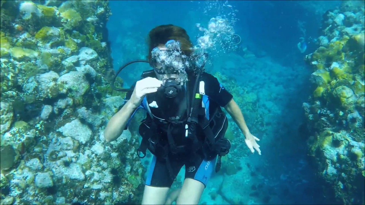Plongée en Martinique kr - YouTube