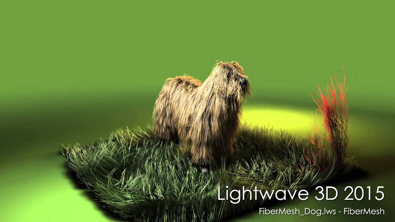 Lightwave 3D: FiberMesh Dog - FiberMesh scene rendered - YouTube