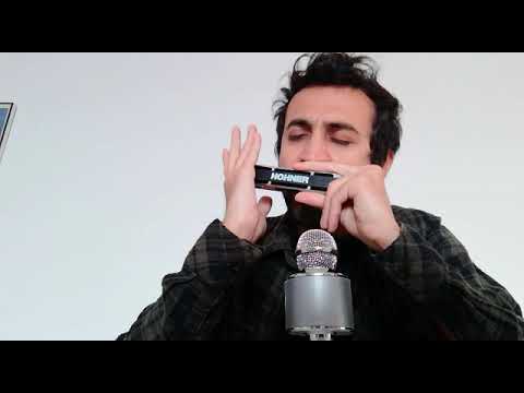 MIZIKA , Yiğidim Aslanım ( Zülfü Livaneli) Enstrümental müzik