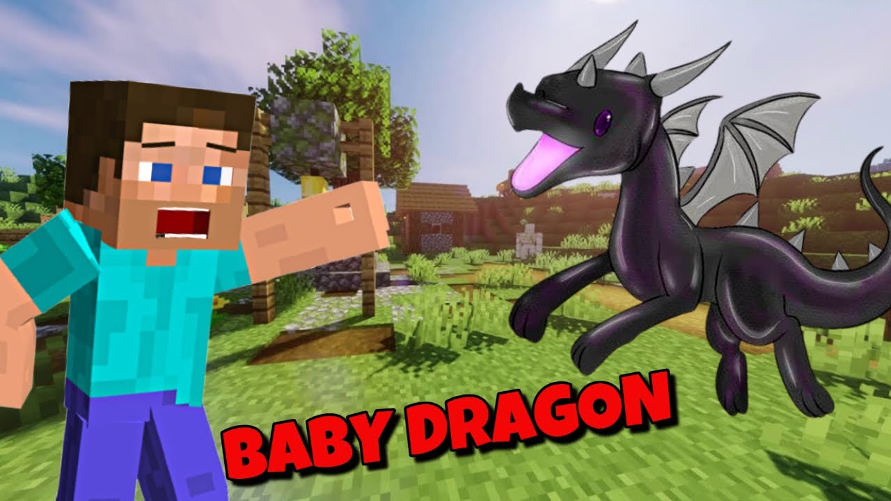 MINECRAFT , BUT I HAVE A BABY GHOST DRAGON 😱 - YouTube