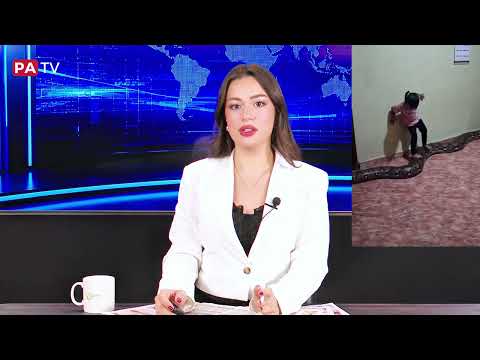 Vietnam'da Evcil Piton Yılanı Evdeki Çocuğu Yuttu!