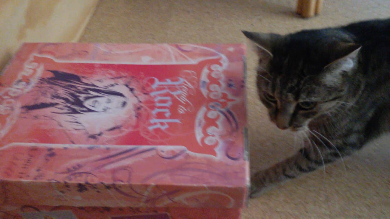 Cat pushing box around 🐈 - YouTube