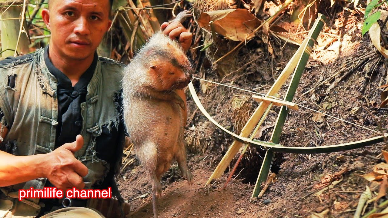 create big rat trap catch ground rat I get one easy to make วีทีหาอุ้น ...