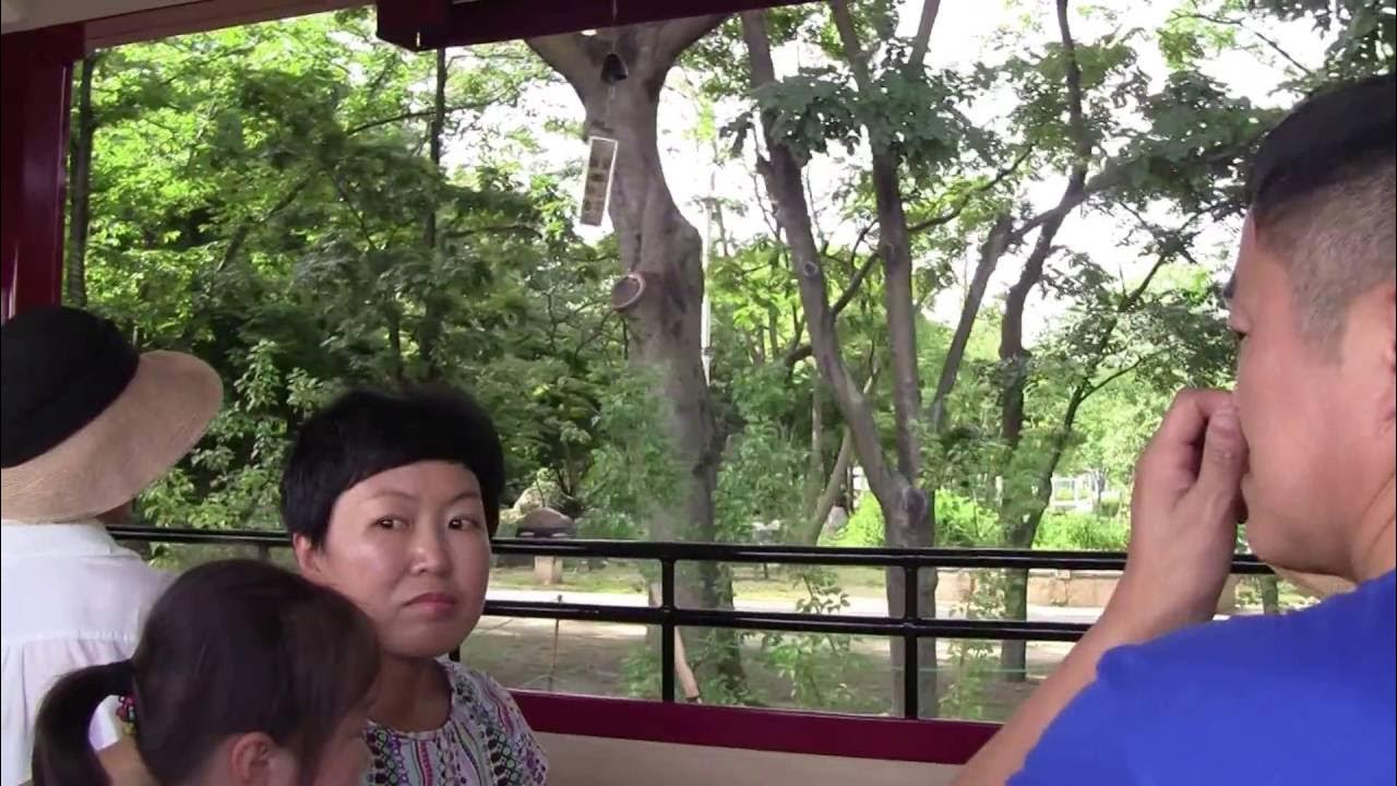 C622 SLスチーム号 - YouTube