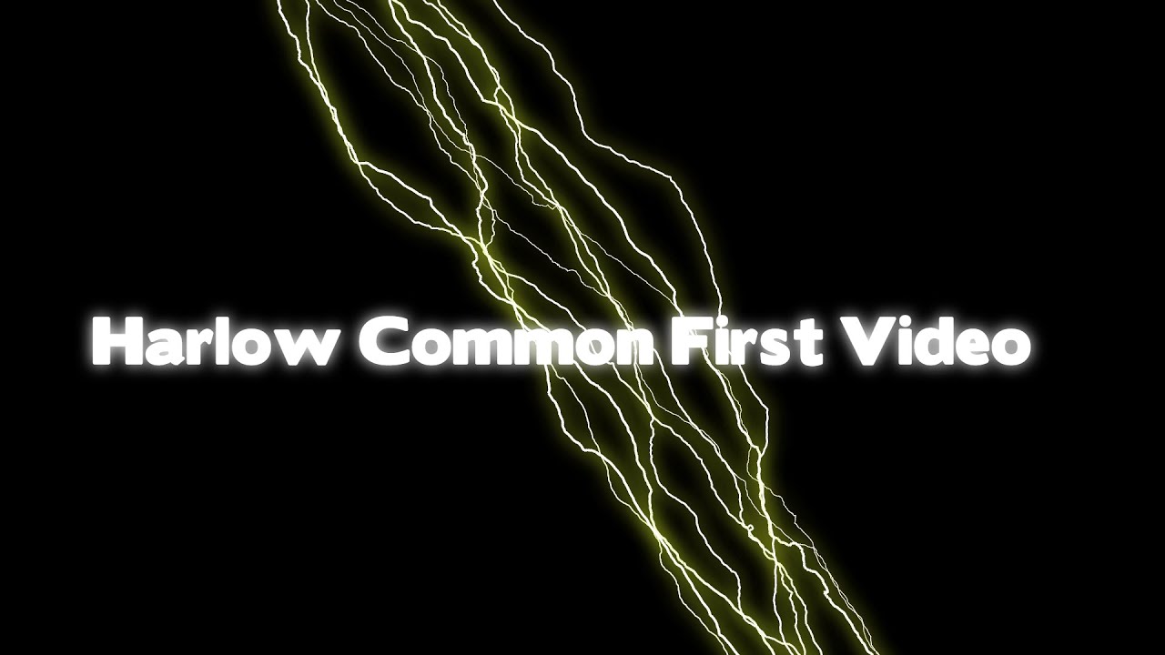 Biking In Harlow : Harlow Common First Video - YouTube