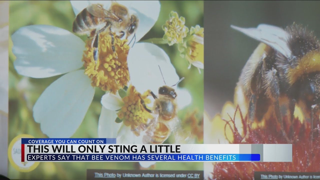 Abilene beekeeper shares the sting: Health benefits, bee safety & why it matters - YouTube