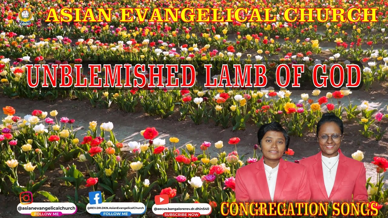 UNBLEMISHED LAMB OF GOD - ASIAN EVANGELICAL CHURCH. *WE PREACH CHRIST ...