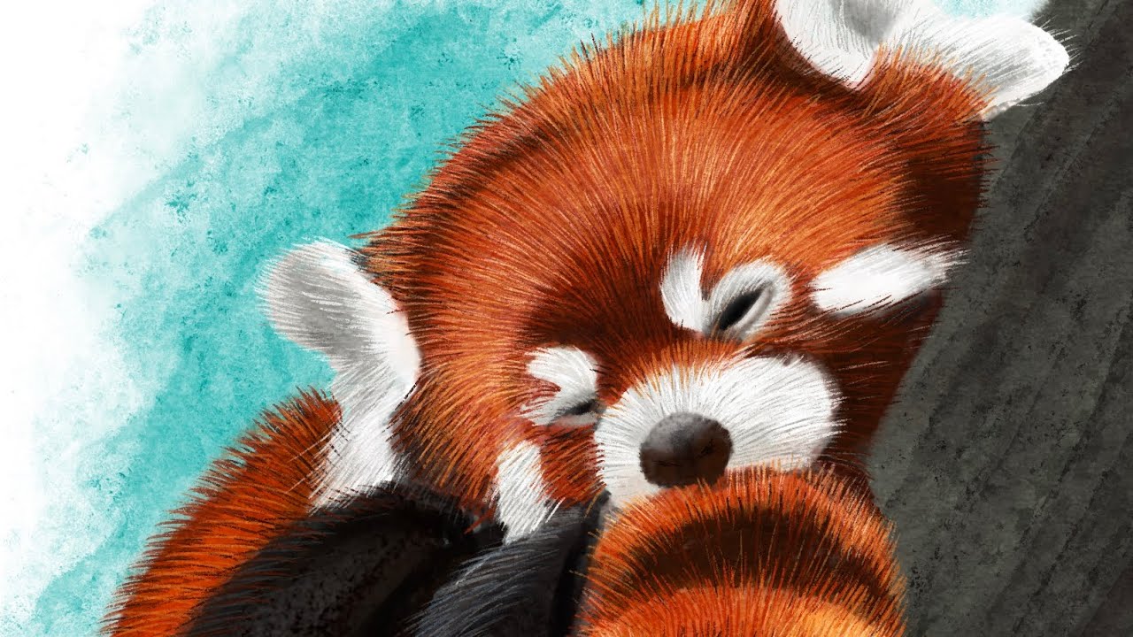 Ailurus Illustrations 小貓熊🌿 - YouTube