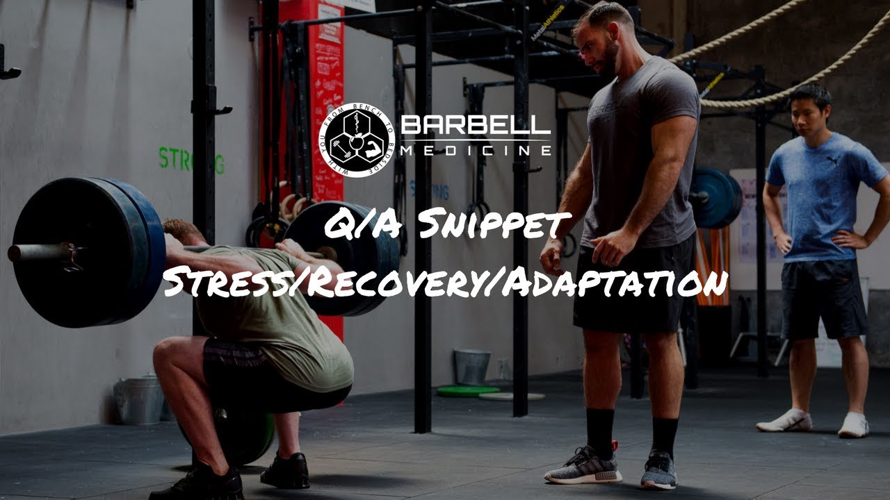 Snippet: Stress- Recovery- Adaptation and Programming Considerations ...