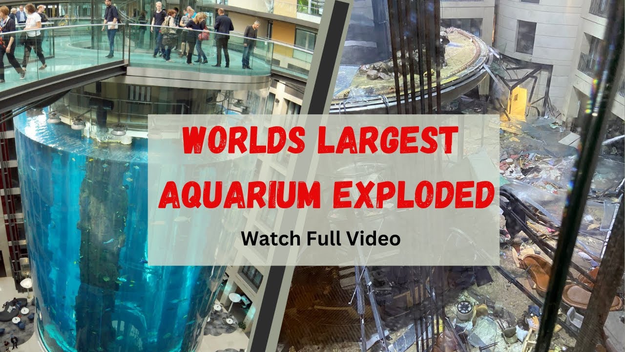 Worlds largest Aquarium "Aquadom" exploded in Berlin, Germany. Before ...