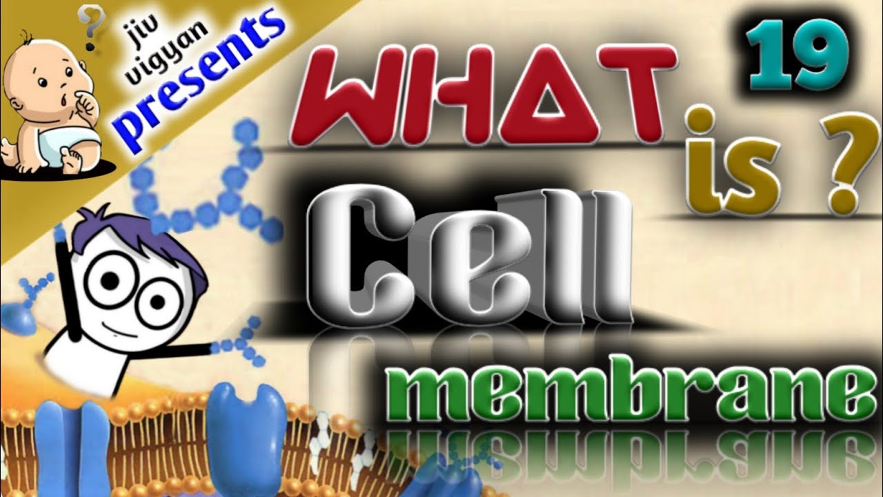 What Is CELL MEMBRANE PLASMA MEMBRANE In Hindi l what-is-cell-membrane-plasma-membrane-in-hindi-l