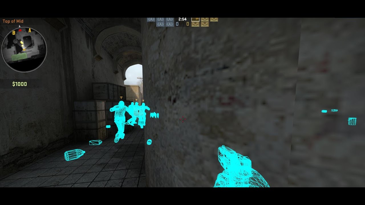 CSGO Wallhacker plus Triggerbot - YouTube