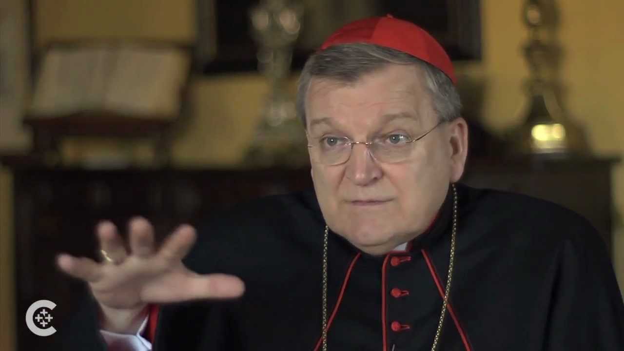 Cardinal Burke on SSPX - YouTube