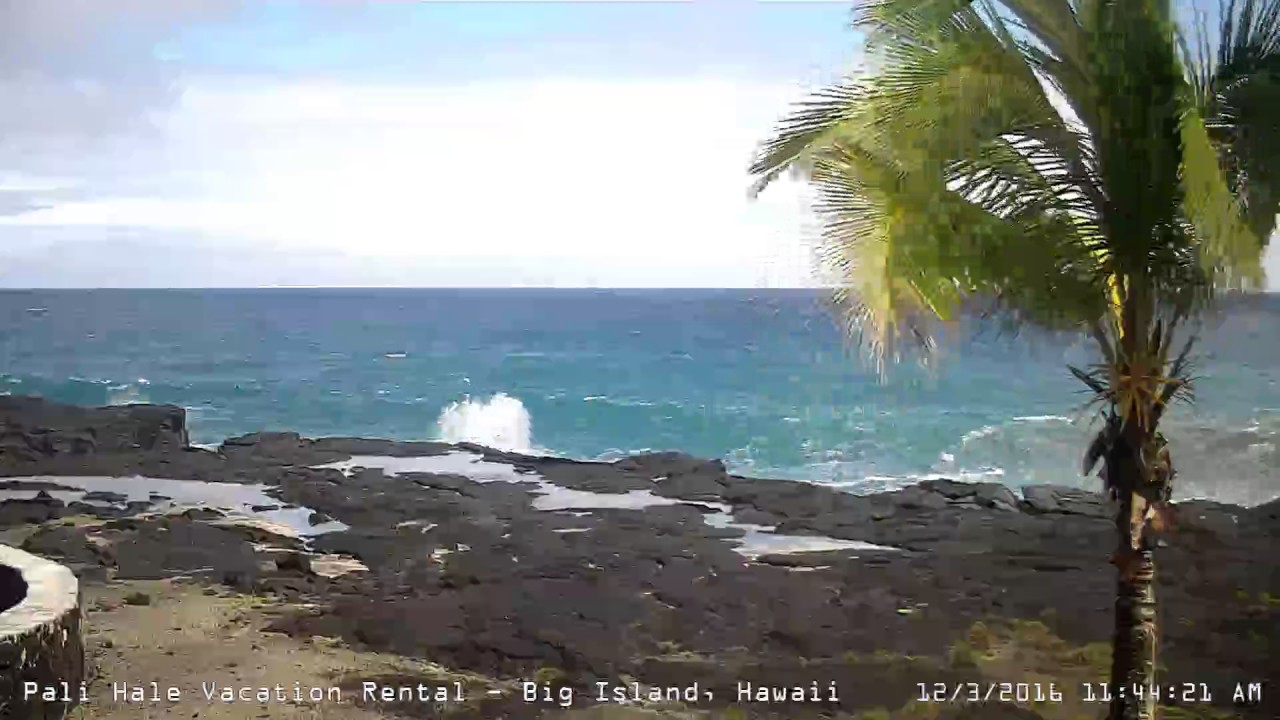 Pali Hale Live Stream from Puna Coast of Kea'au, Big Island Hawaii ...