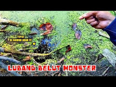 MANCING AMBYAR !!! CUMA SEBENTAR BISA DAPAT DUA BELUT BESAR