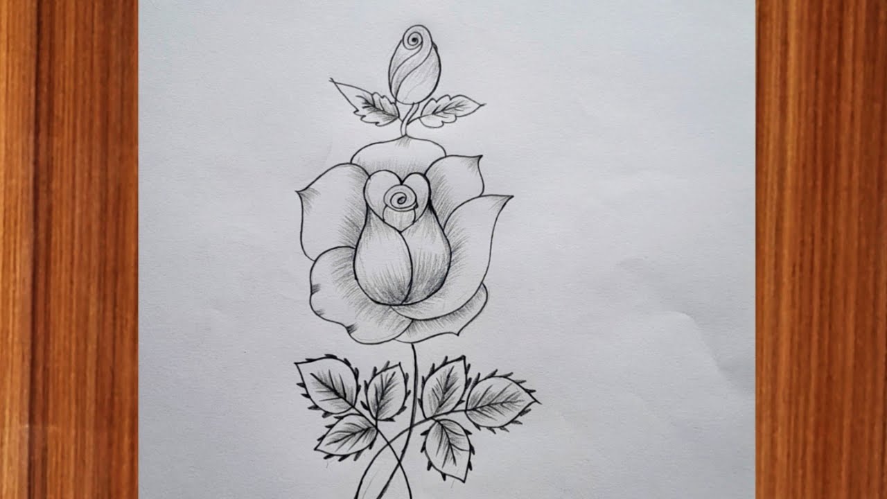 Rose Drawing | How To Draw A Rose | Flower Design Drawing | Flower Art ...