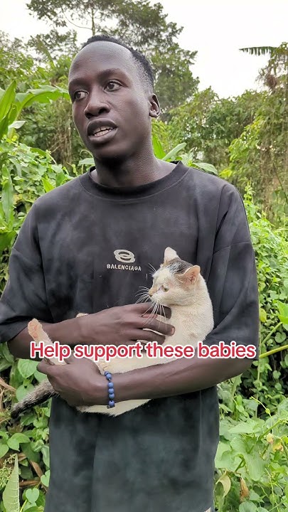 Help support these poor babies link in bio donate today#donate #kitten ...