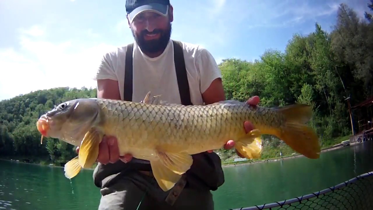 Mozzarella Cherries Rig e la Carpa col Piercing ♓ Lago La Cassiana 2018 - YouTube