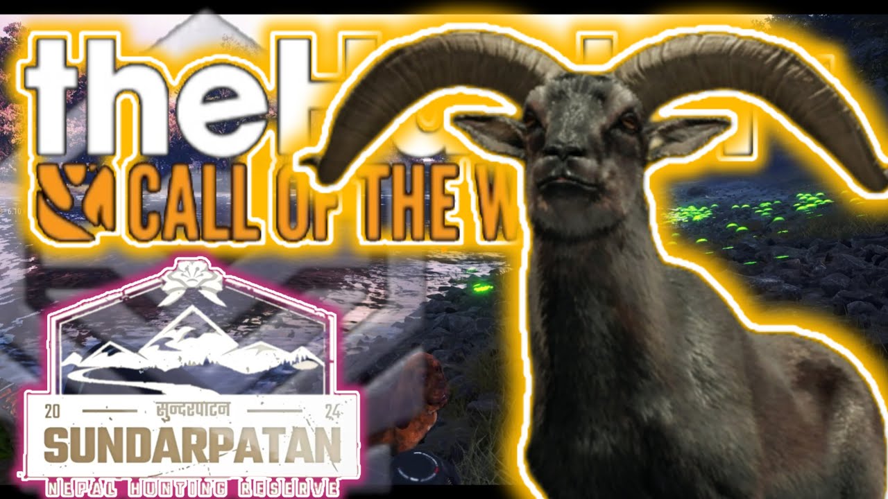 Diamond Blue Sheep on Sundarpatan - theHunter Call of the Wild - YouTube