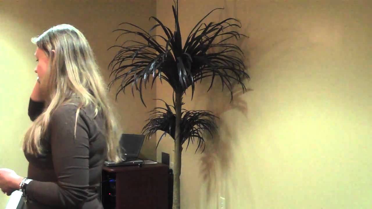 WS2 Befriending the Mind: 14 of 15 - It's Possible--Be the Change - YouTube
