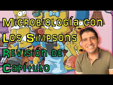 Microbiología con Los Simpsons - YouTube