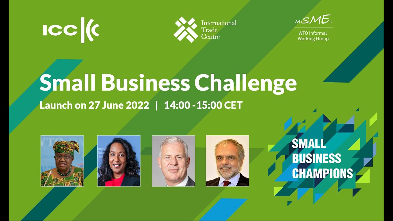 Small Business Champions Initiative (English) - YouTube