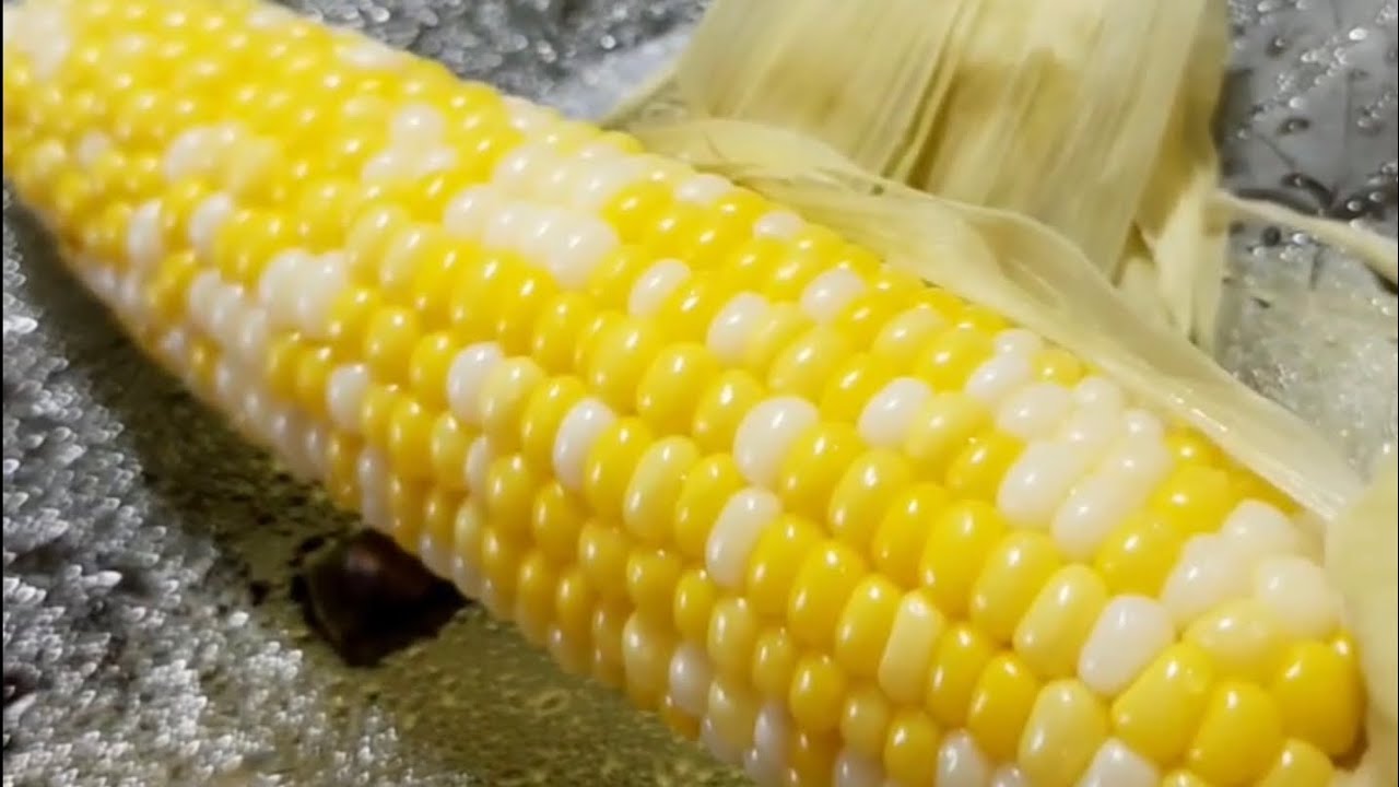 Ricos Elotes 🌽 Tips Para Cocerlos y que no queden Desabridos. - YouTube