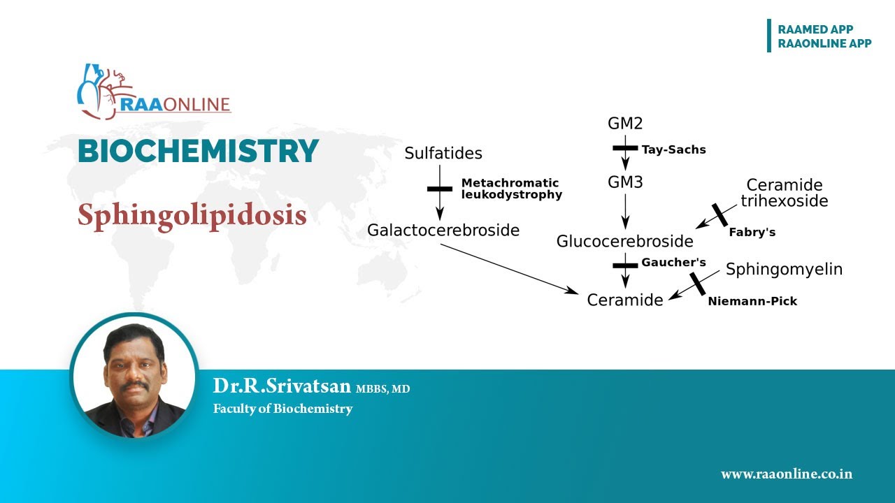 Sphingolipidosis - YouTube