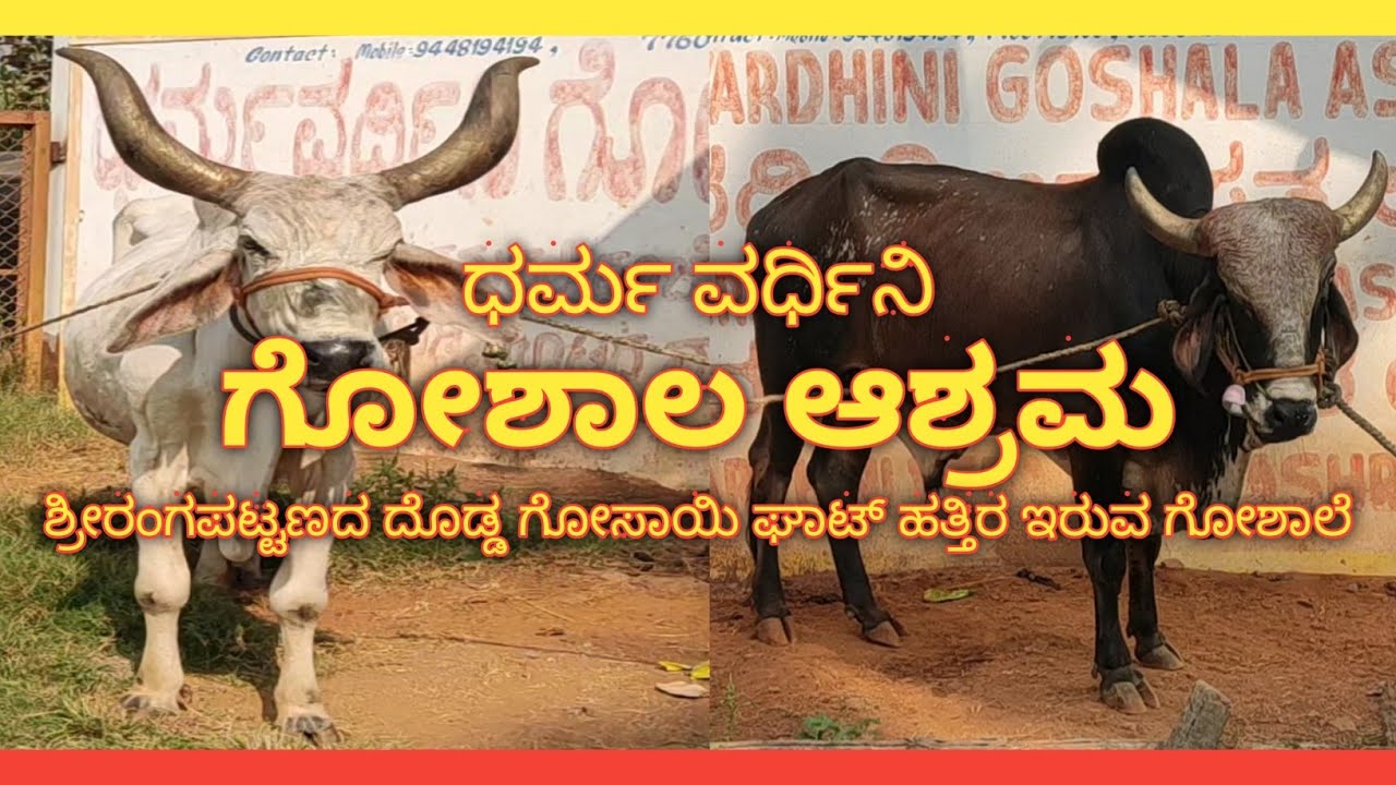 Goshala Ashrama | Mysore | Srirangapattana | Dodda Gosai Ghat # ...
