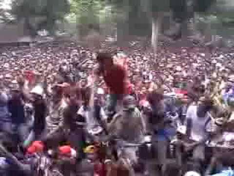 NENA FERNANDA - SANYY