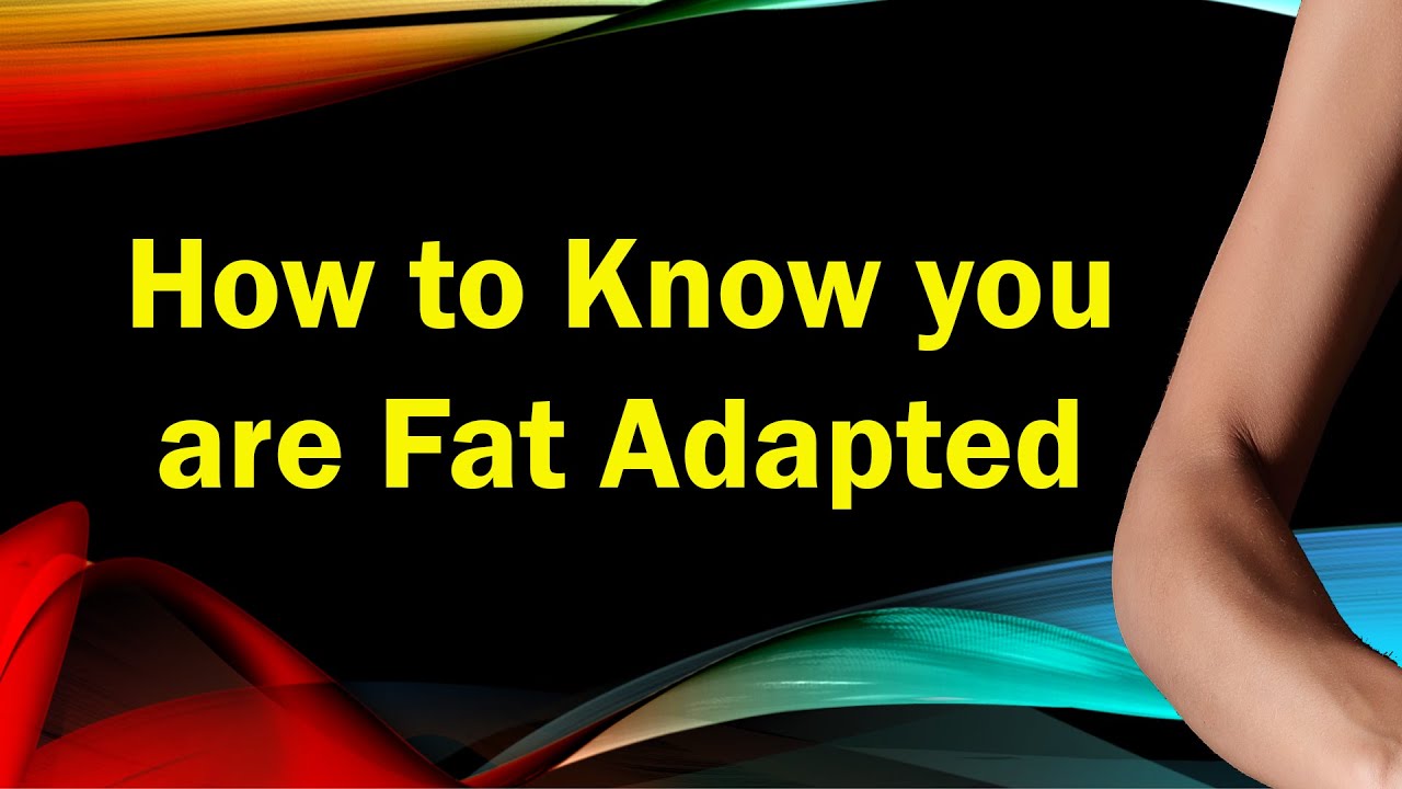 How To Know You Are Becoming Fat Adapted Intermittent Fasting - YouTube