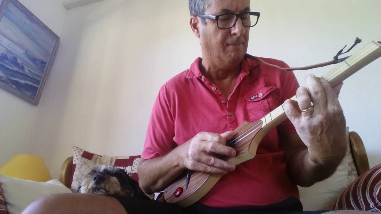 The Boxer - Simon & Garfunkel Cover - Seagull Merlin - M4 - YouTube