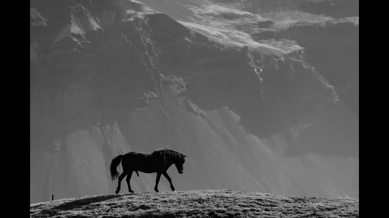 Ankaralı İbocan-Atım Arap / (Ai Cover) - YouTube