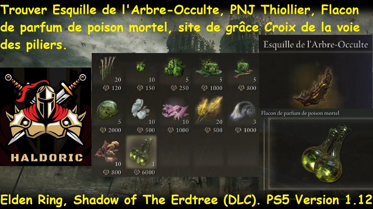 Elden Ring, DLC. Trouver Esquille de l'Arbre-Occulte, PNJ Thiollier ...