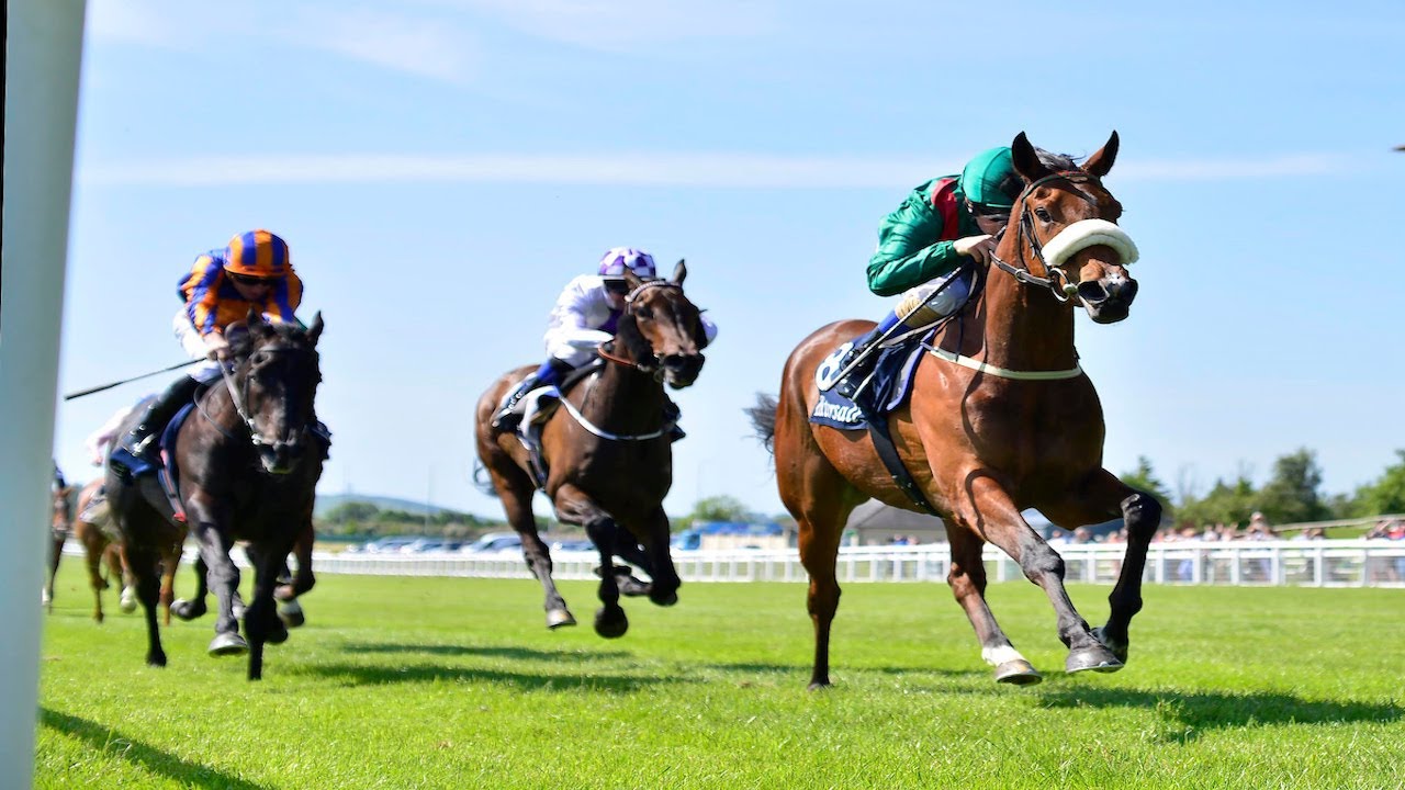 TAHIYRA strikes in the 2023 Irish 1,000 Guineas - Dermot Weld delivers ...