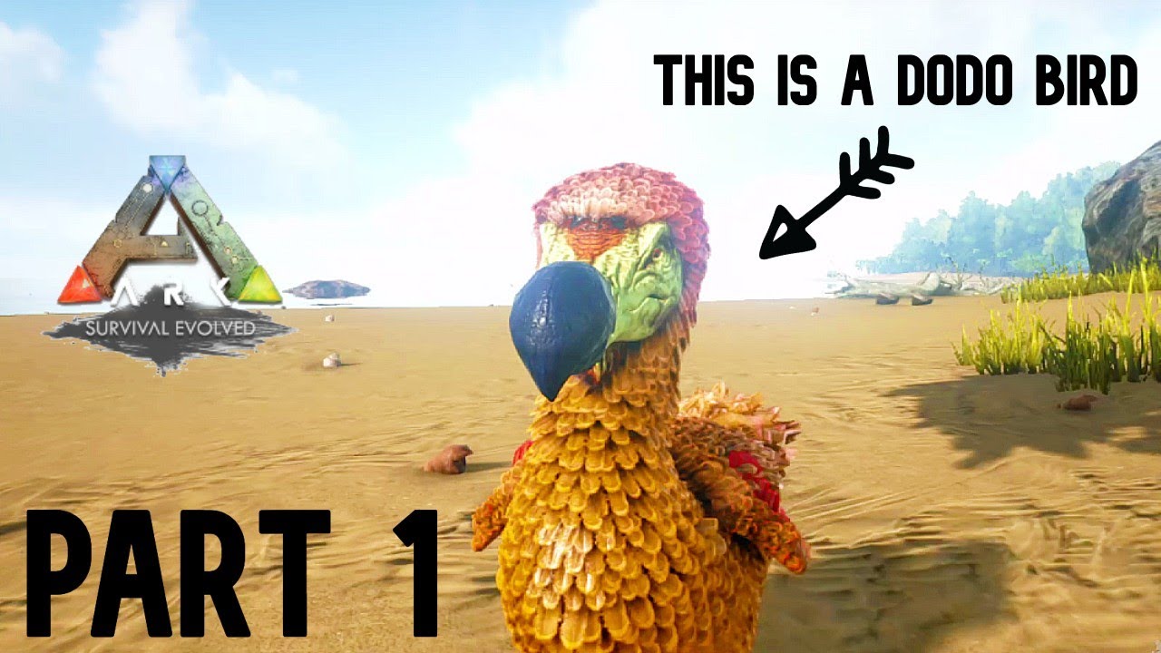 Dodo Poop's Instagram, Twitter & Facebook on IDCrawl