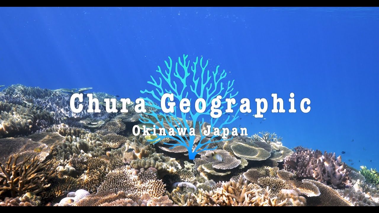 [4K] Beautiful Coral Reef Okinawa #88 EOS 1DX Mark II Nauticam 沖縄 本島 ...