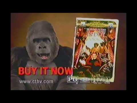 Buddy - Video Release Promo