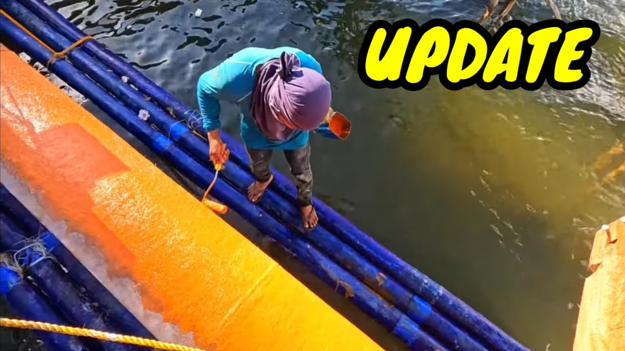 P55 - KULAY ORANGE NA ANG ATING YATE YATE - EP37 - YouTube