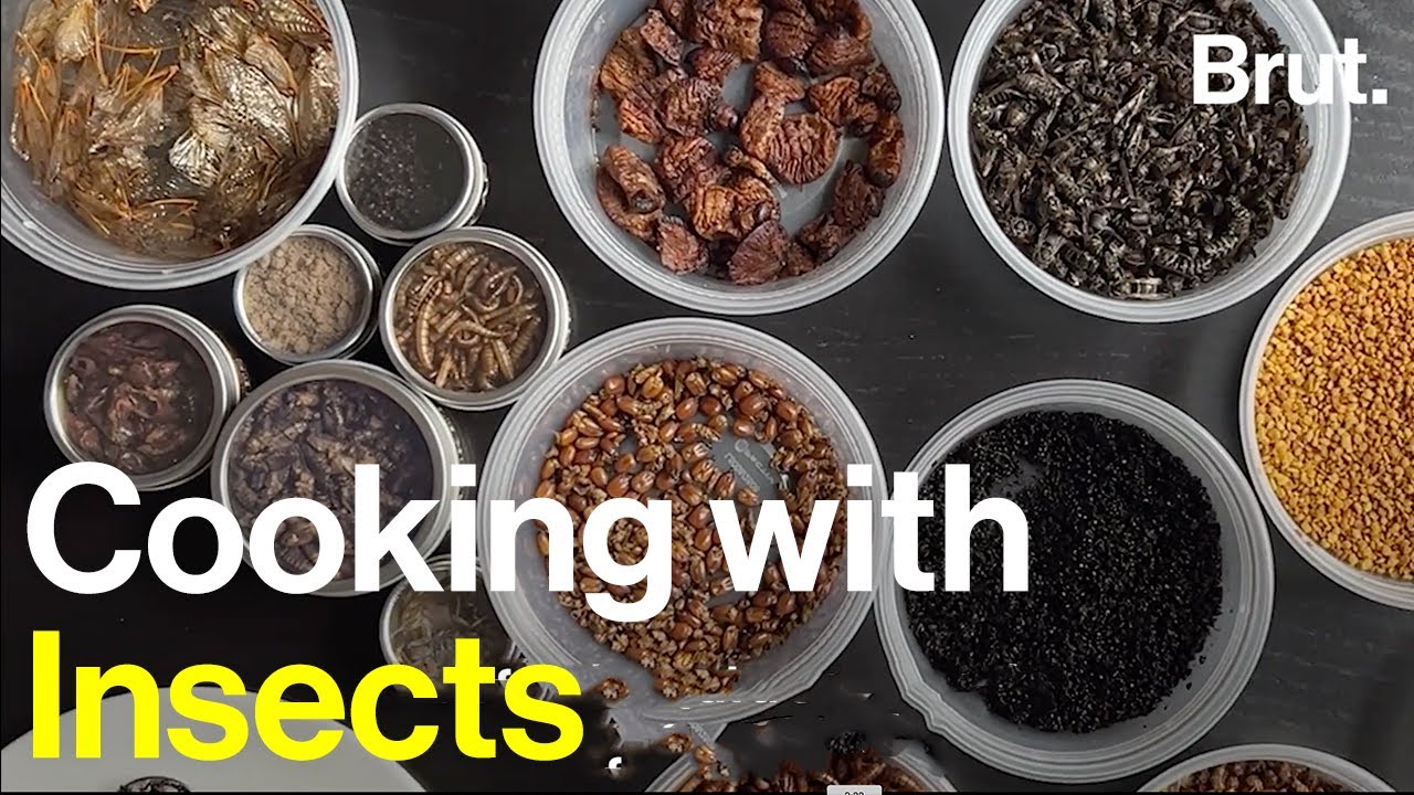 Meet the Chef Leading the Edible Insects Movement - YouTube