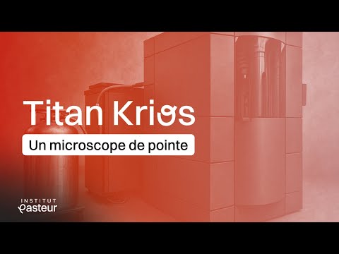 A quoi sert le microscope TITAN KRIOS™ à l'Institut Pasteur ? - YouTube