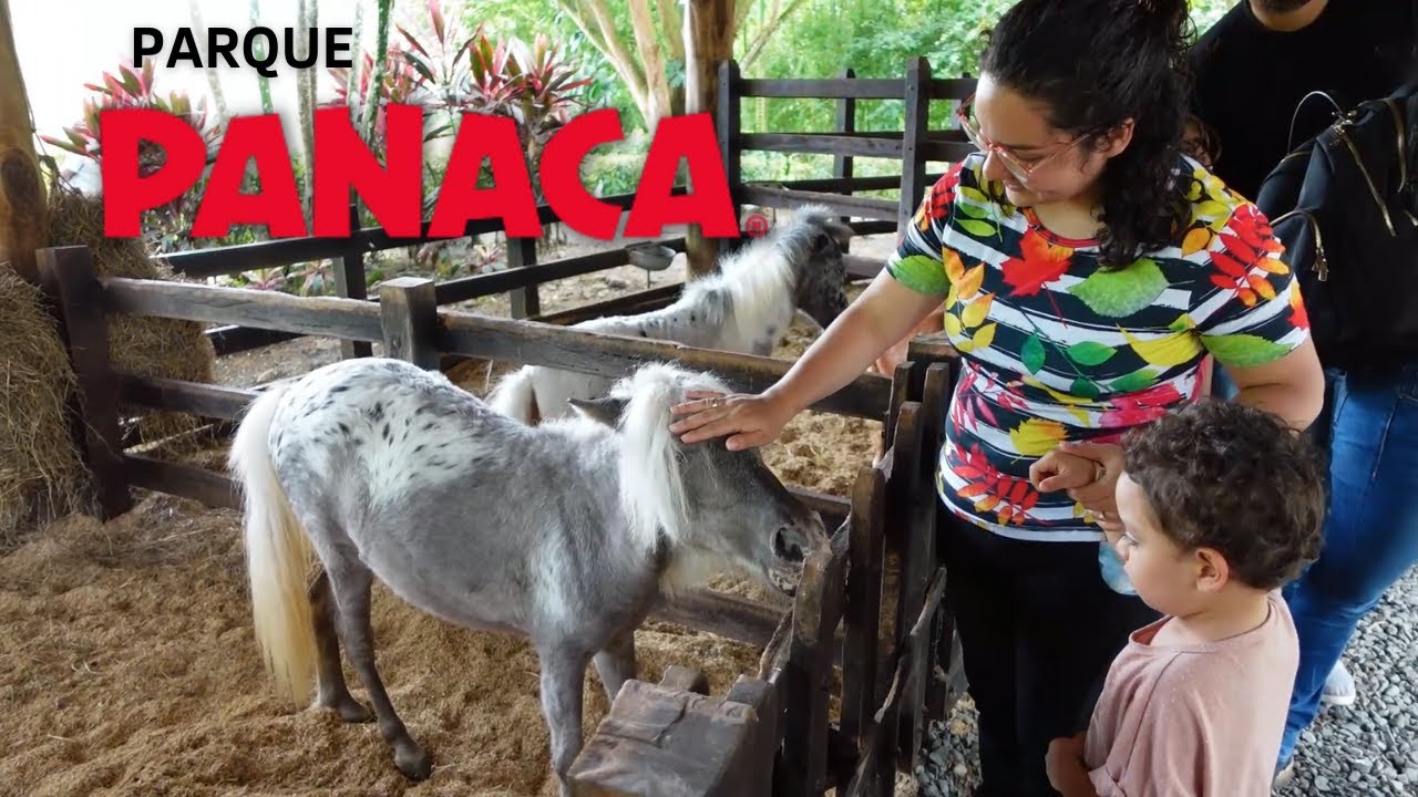 Parque PANACA: Animales de granja, shows y caminata | Eje cafetero parte 3 - YouTube