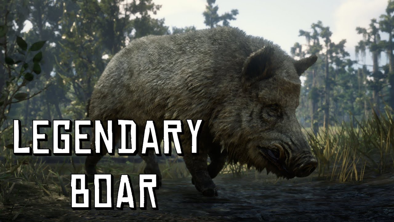 Hunting Legendary Boar - RDR2 - YouTube