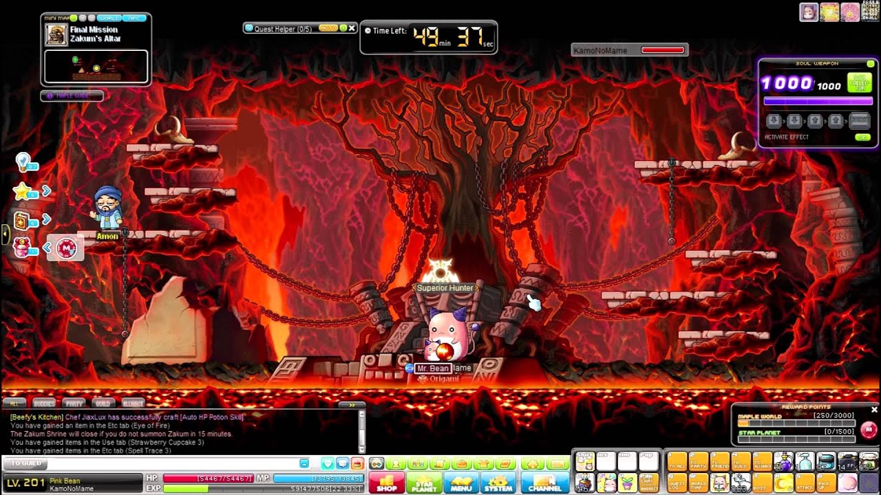 Level 201 Pink Bean - Zakum Solo - YouTube