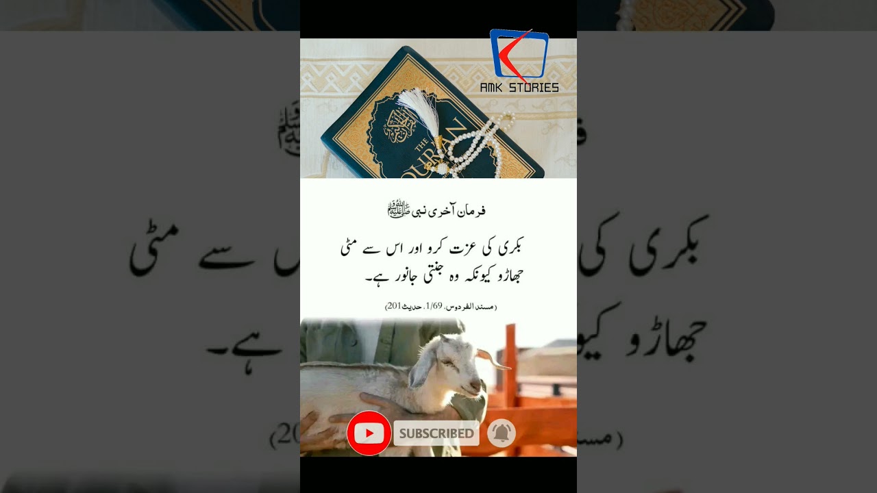 Hadith about Goat: What the Prophet Muhammad (PBUH) Said About Goats ...