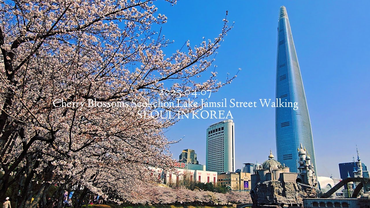 4k Cherry Blossoms Seokchon Lake Jamsil Street Walking Tour 🌸 Seoul in ...