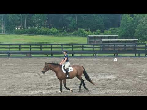 Auburn Equestrian June 2025 Clinic Flat Course Win Aydin Vaughn