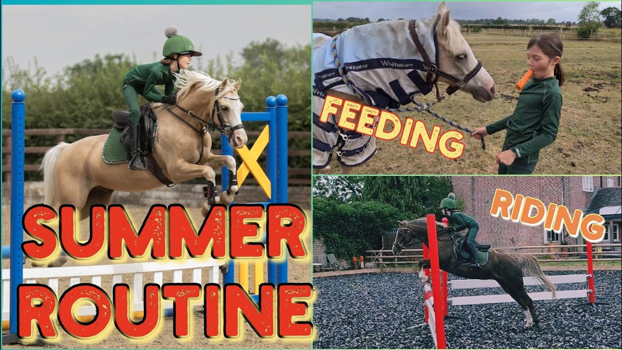 A Day in the Life of a Horsey Girl - What it's like - YouTube